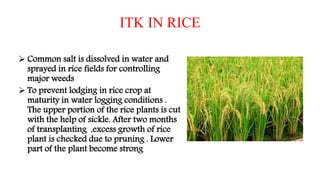 organic farming using ITK | PPTX