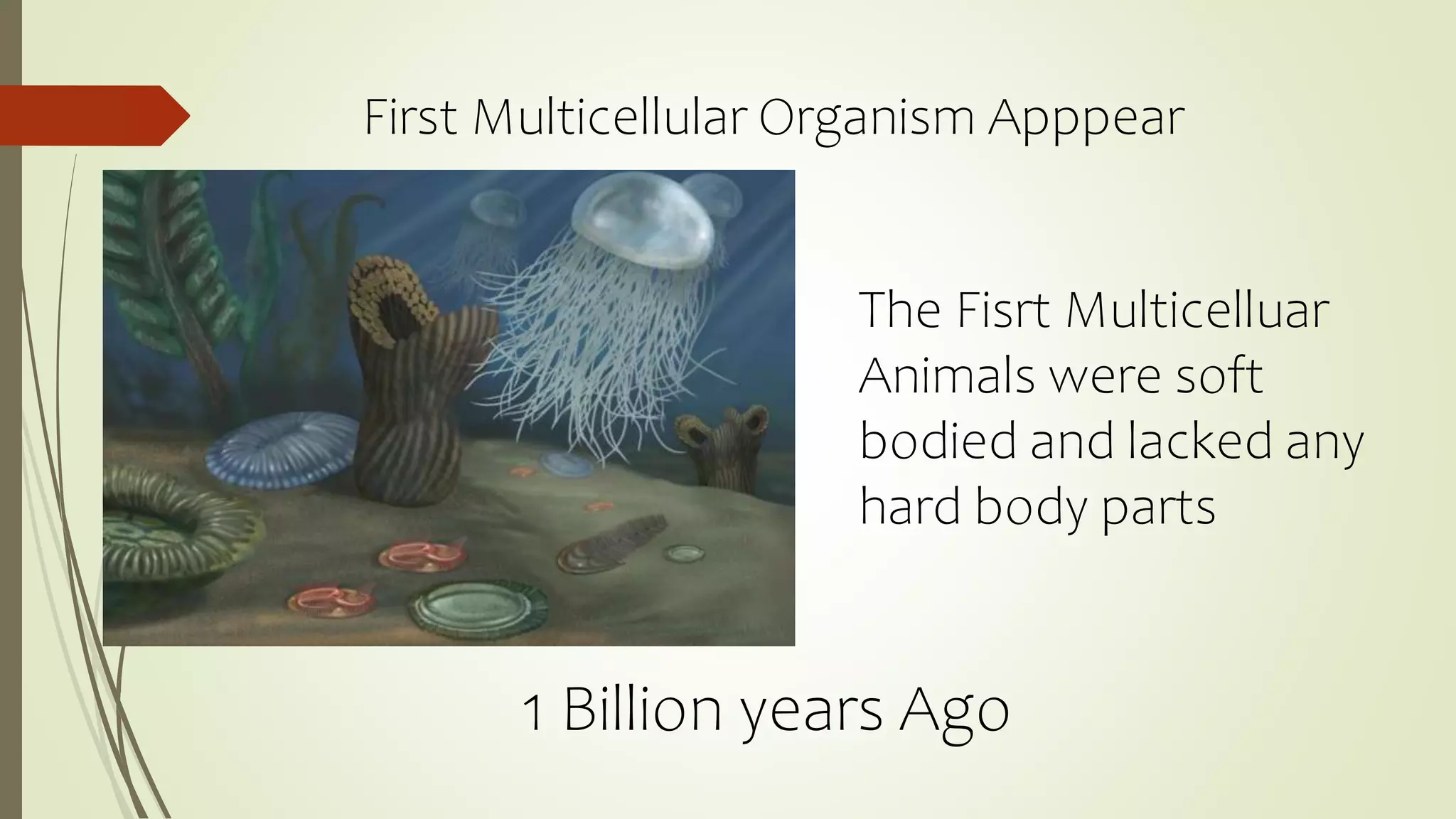 group no.2 timeline of life forms presentation.pptx