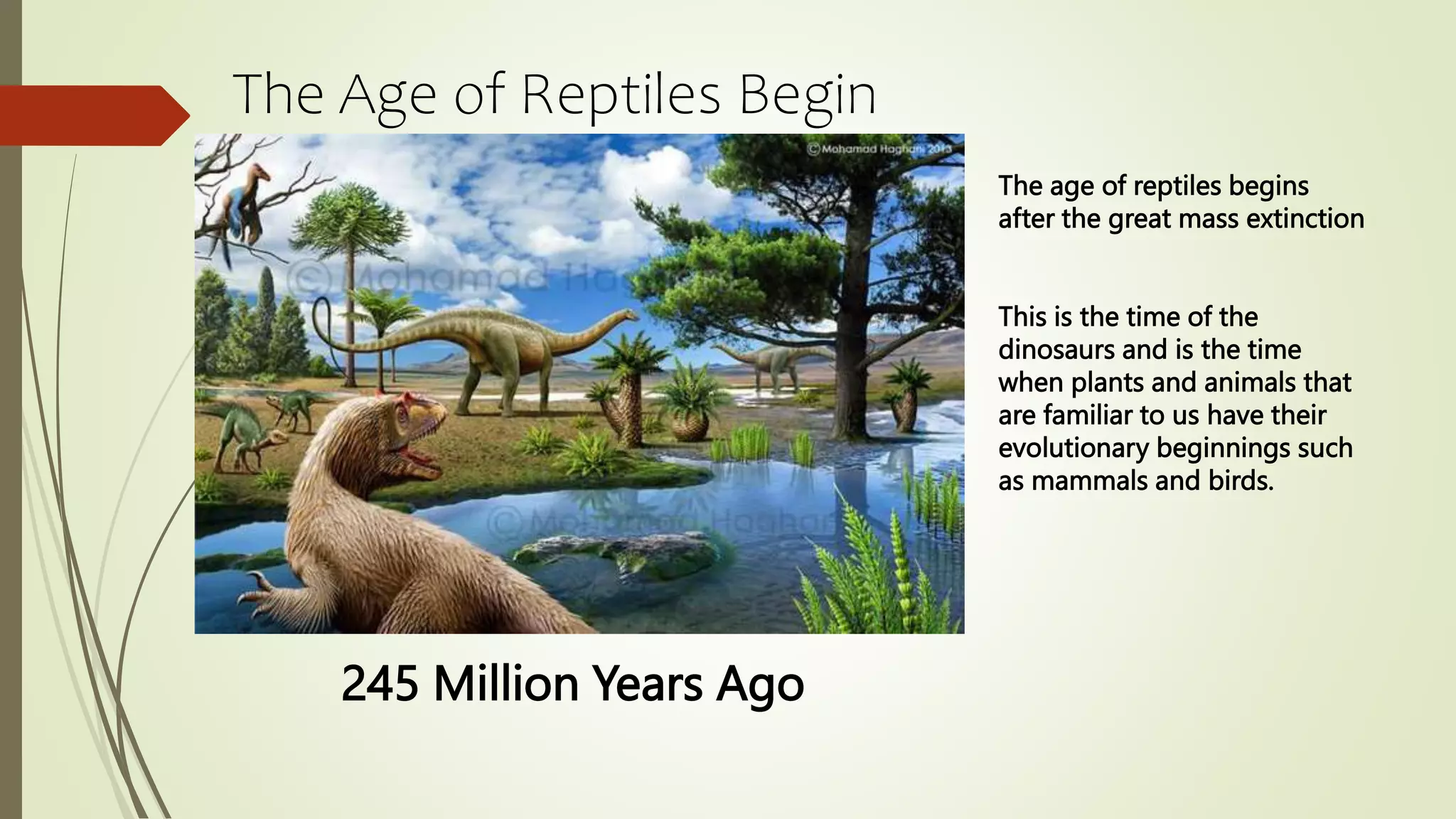 group no.2 timeline of life forms presentation.pptx