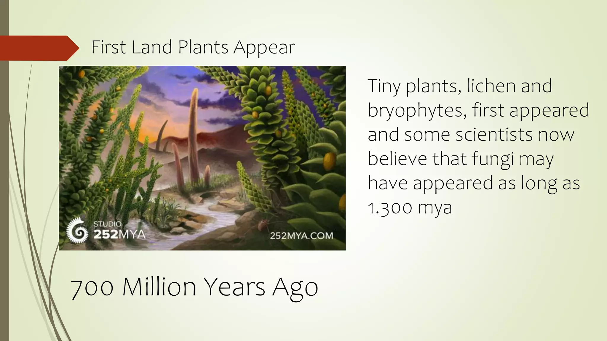 First Land Plants Appear