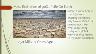 group no.2 timeline of life forms presentation.pptx