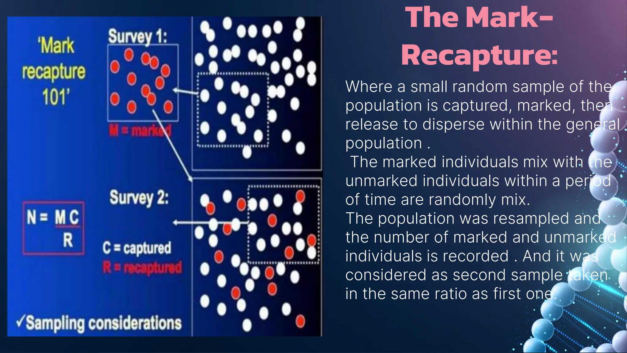 Population Ecology Fundamentals and types | PDF