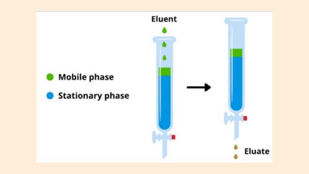 BS Chemistry, history and basics of paper chromatography | PPTX