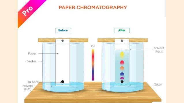BS Chemistry, history and basics of paper chromatography | PPTX