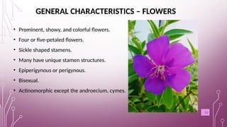 Family Melastomatacaeae Sri Lankan context | PPT