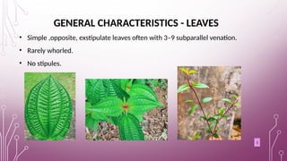 Family Melastomatacaeae Sri Lankan context | PPTX