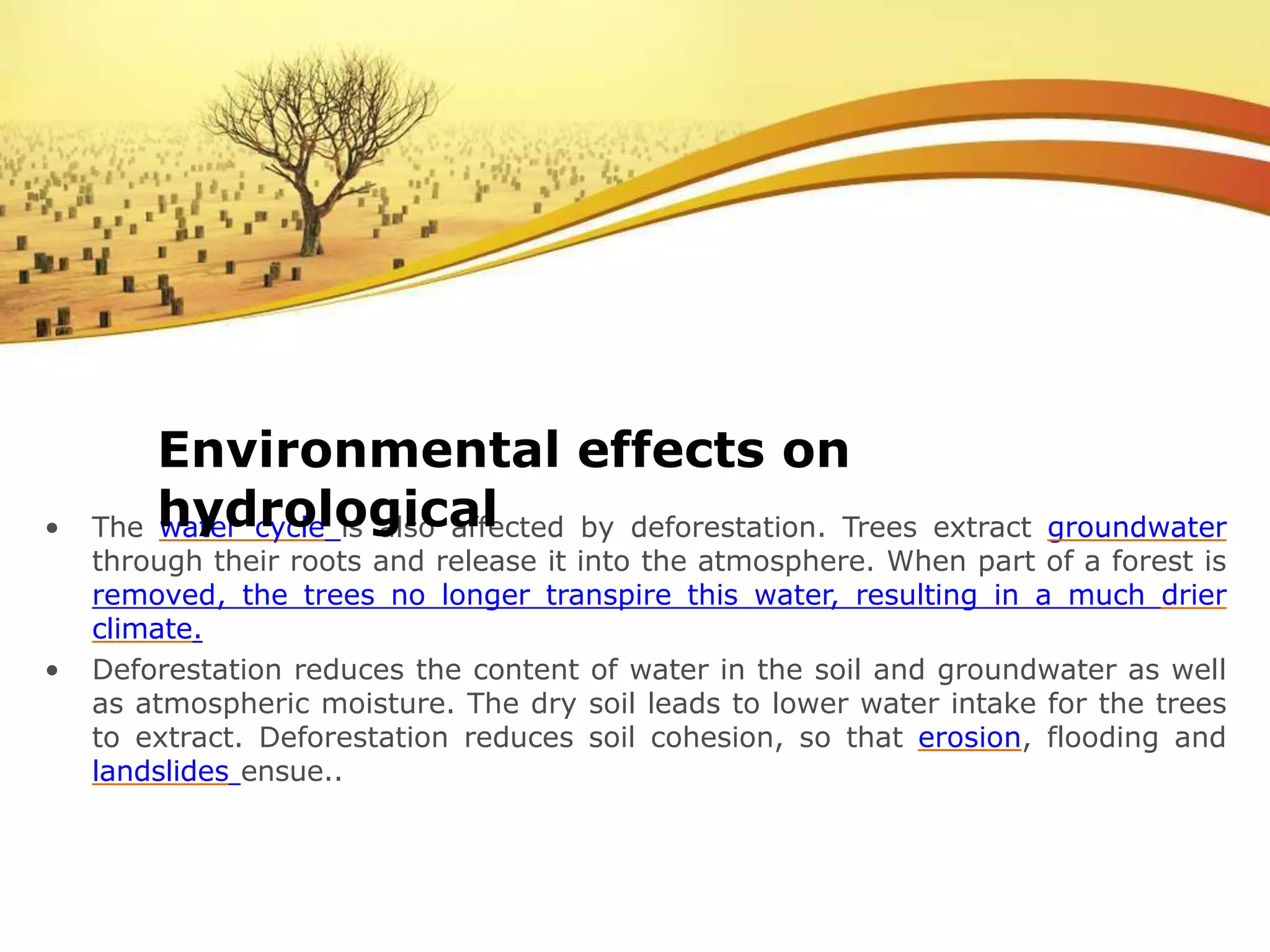Group No 1( Deforestation).pptx