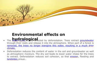 Group No 1( Deforestation).pptx