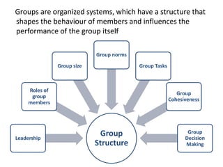 Group & Team dynamics.pptx