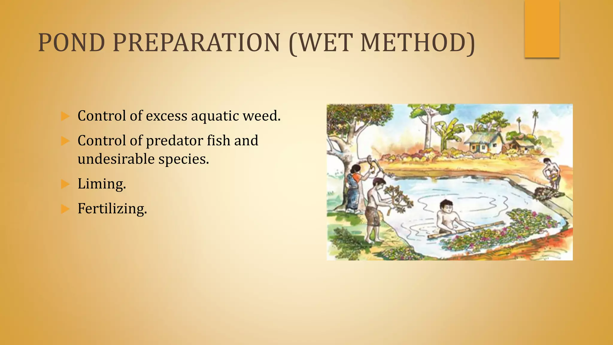 polyculture of carps | PPTX