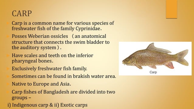 polyculture of carps | PPTX
