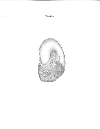 The Life and Times of our Invertebrate Assemblage-University of Alaska ...