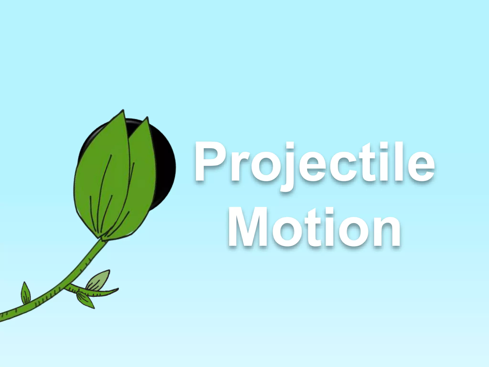 physics project projectile motion | PPTX
