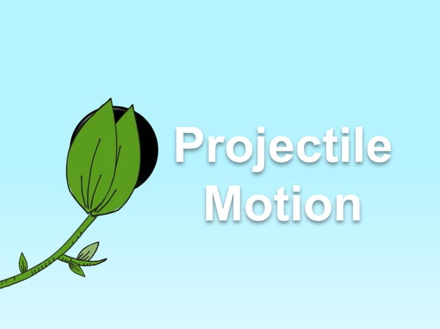physics project projectile motion | PPTX