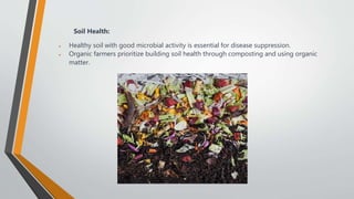 pest and disease management in organic farming | PPTX