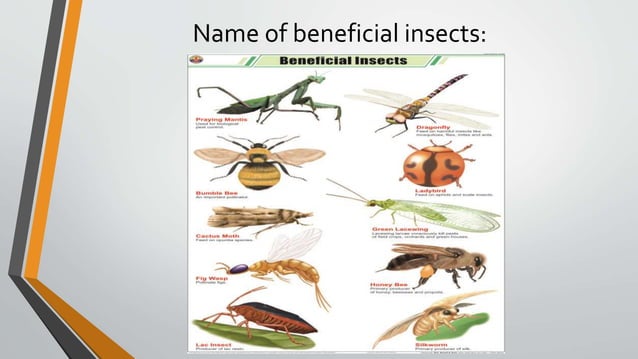 pest and disease management in organic farming | PPT | Free Download