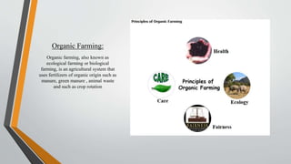pest and disease management in organic farming | PPTX