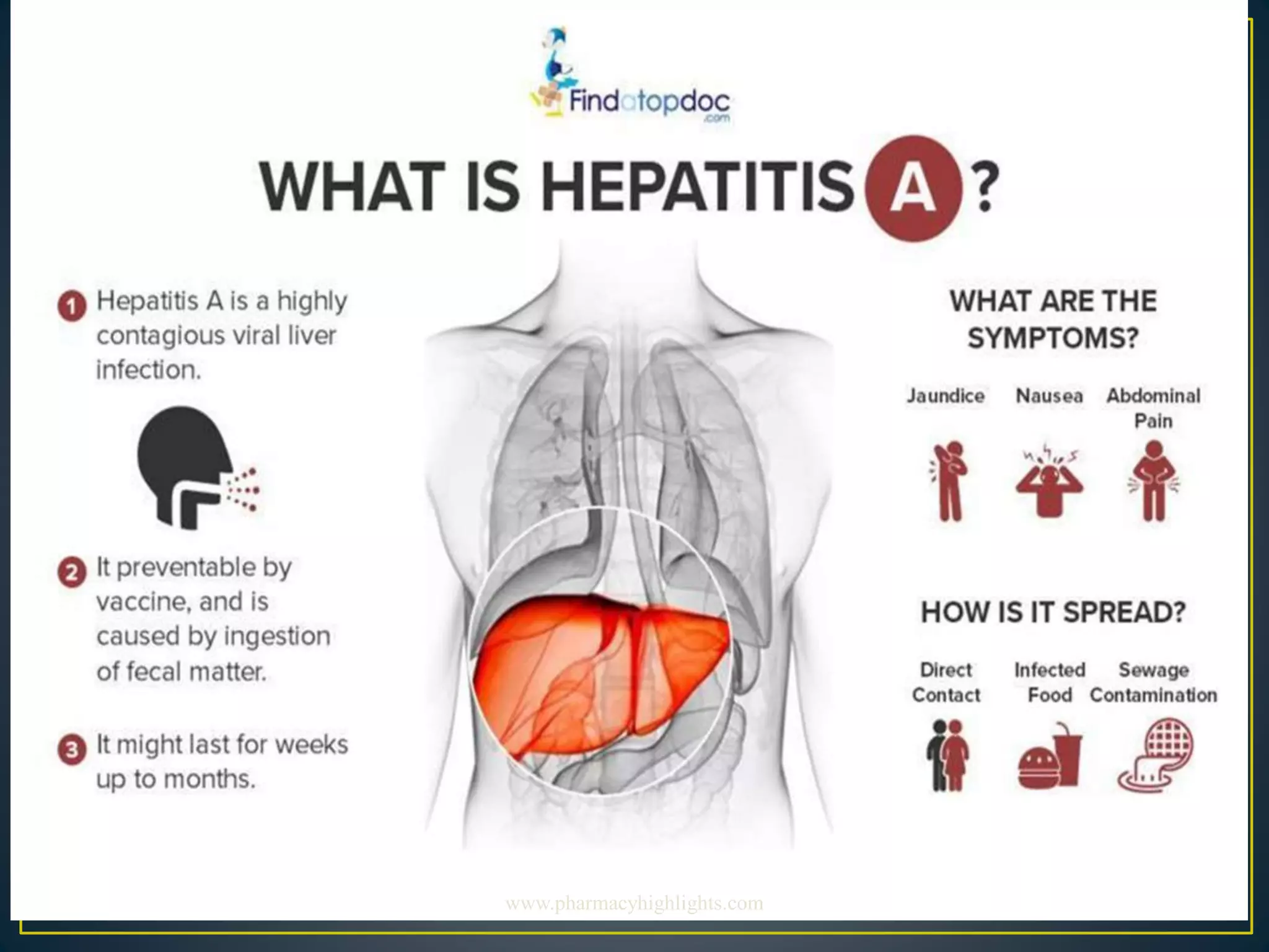 HEPATITIS | PPT