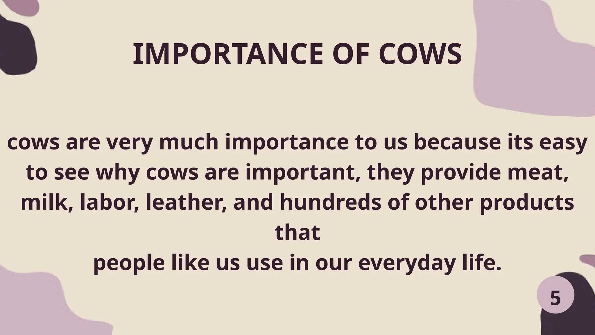 Group Presentation how to raise cow.pptx