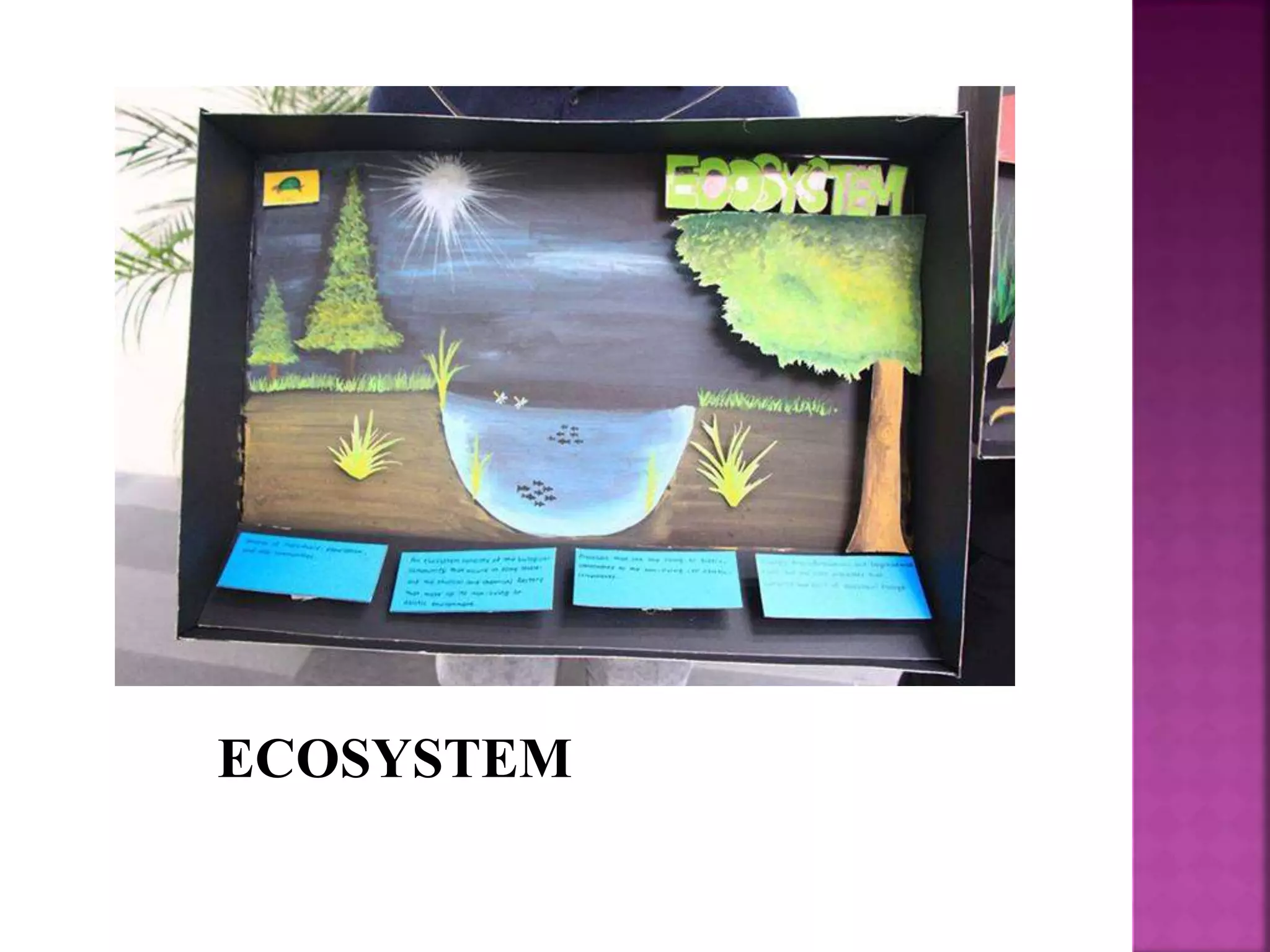 Group presentation info graphic pop up poster12345678985432 | PPTX