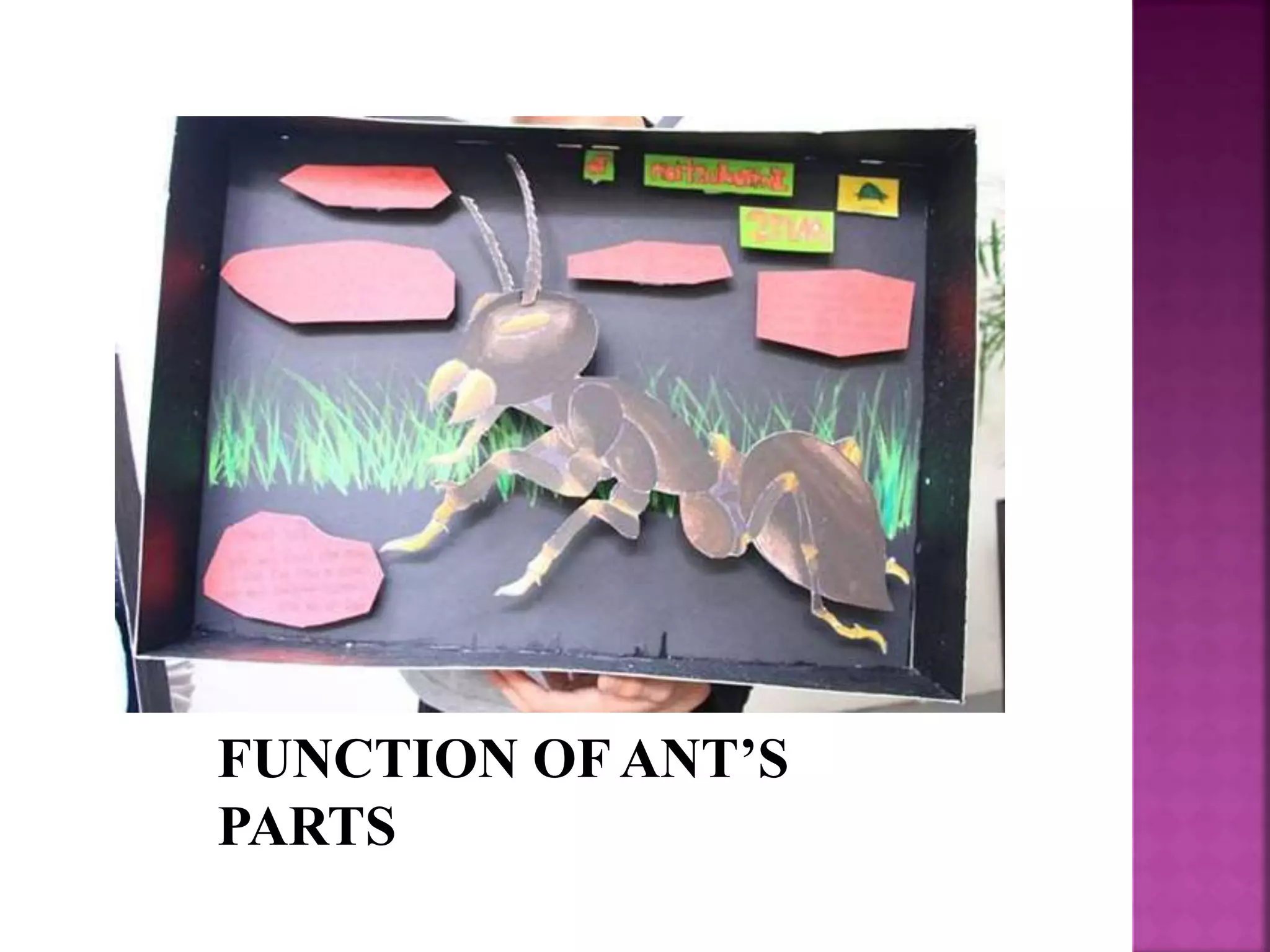 Group presentation info graphic pop up poster12345678985432 | PPTX