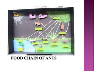 Group presentation info graphic pop up poster12345678985432 | PPT