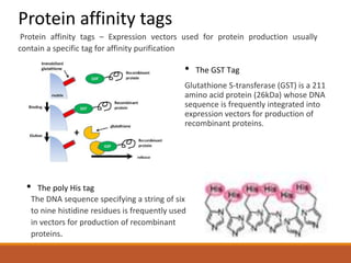 Technology used for High Level Expression and Purification of ...