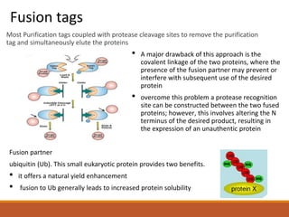 Technology used for High Level Expression and Purification of ...