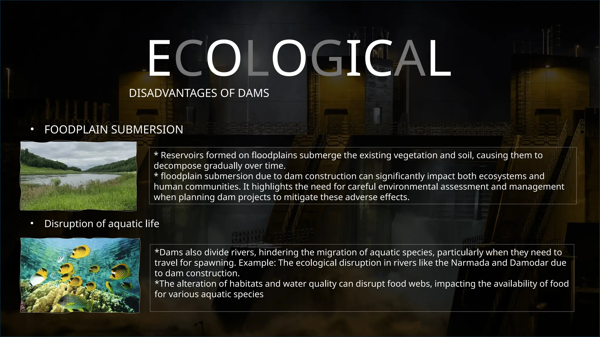 Group Presentation (Geography).pptxaaaaa | PPTX | Geography | Science