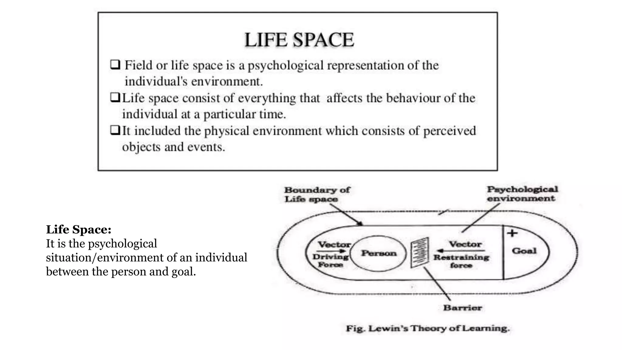 Nature of Group Process (Beginnings of Group Dynamics (Field Theory ...