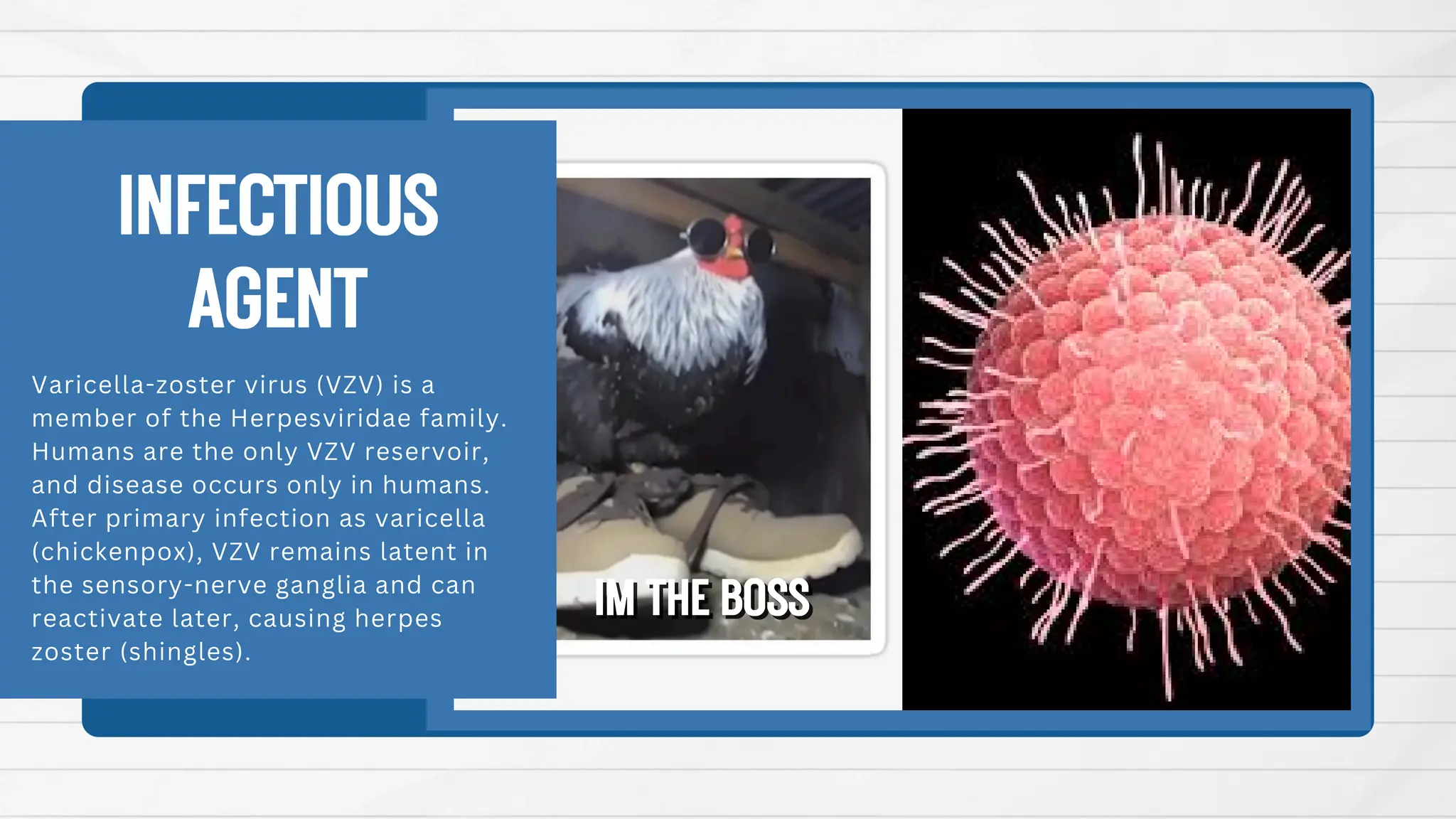 Chicken pox with memes ahdhcjxlsosjncmcm | PDF