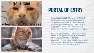 Chicken pox with memes ahdhcjxlsosjncmcm | PPT