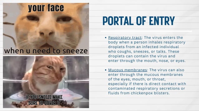 Chicken pox with memes ahdhcjxlsosjncmcm | PPT
