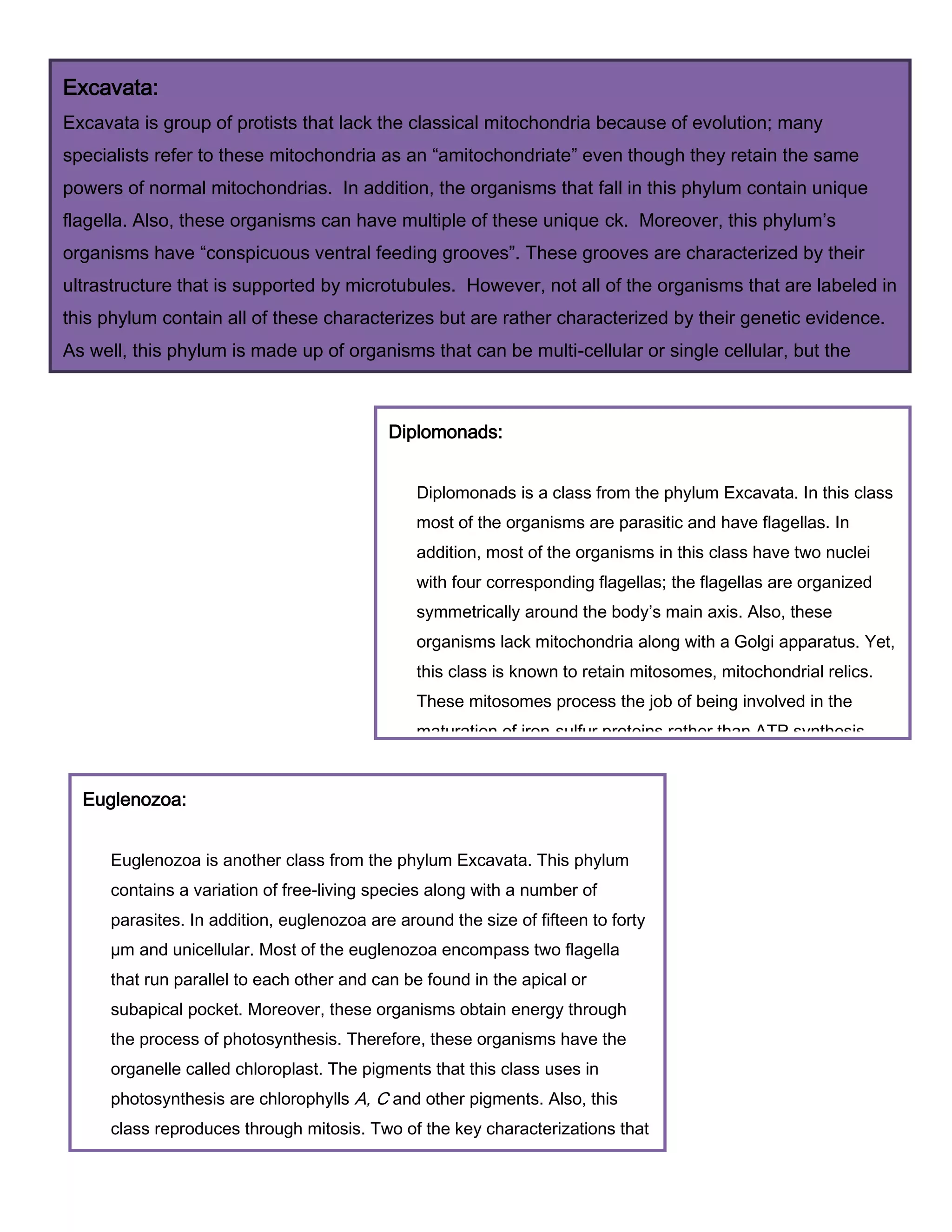 Groups and classes of protista | DOCX