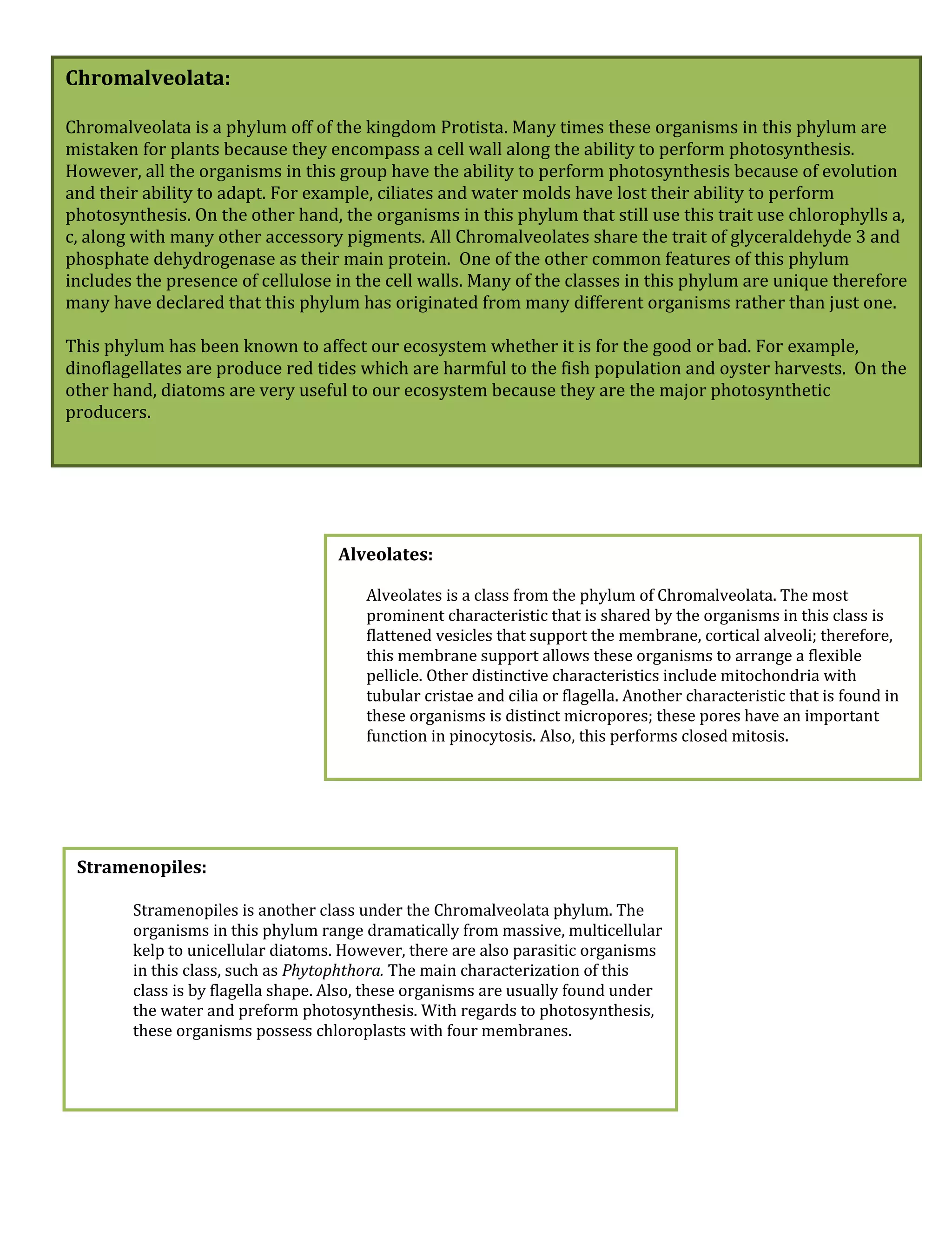 Groups and classes of protista | DOCX