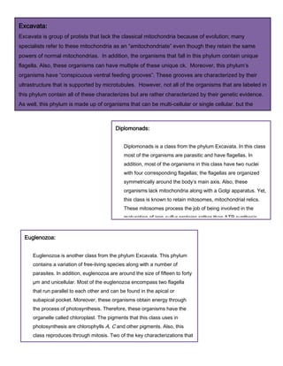 Groups and classes of protista | DOCX