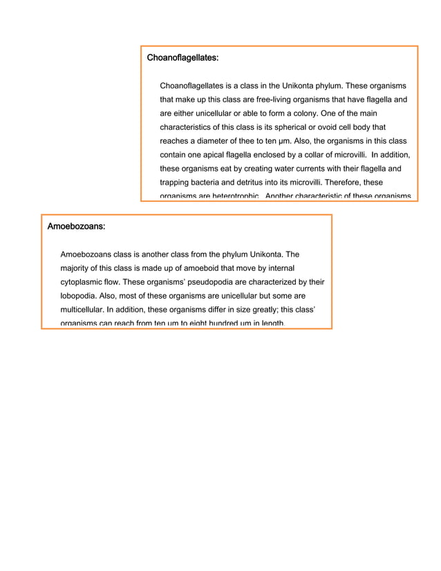 Groups and classes of protista | PDF