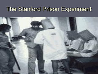 Groups- Obedience_Stanford Prison | PPT