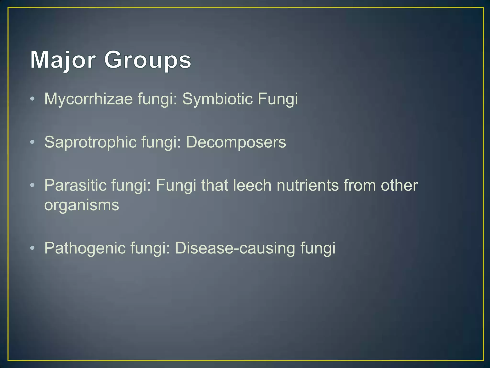 Groups and phyla of fungi | PPTX