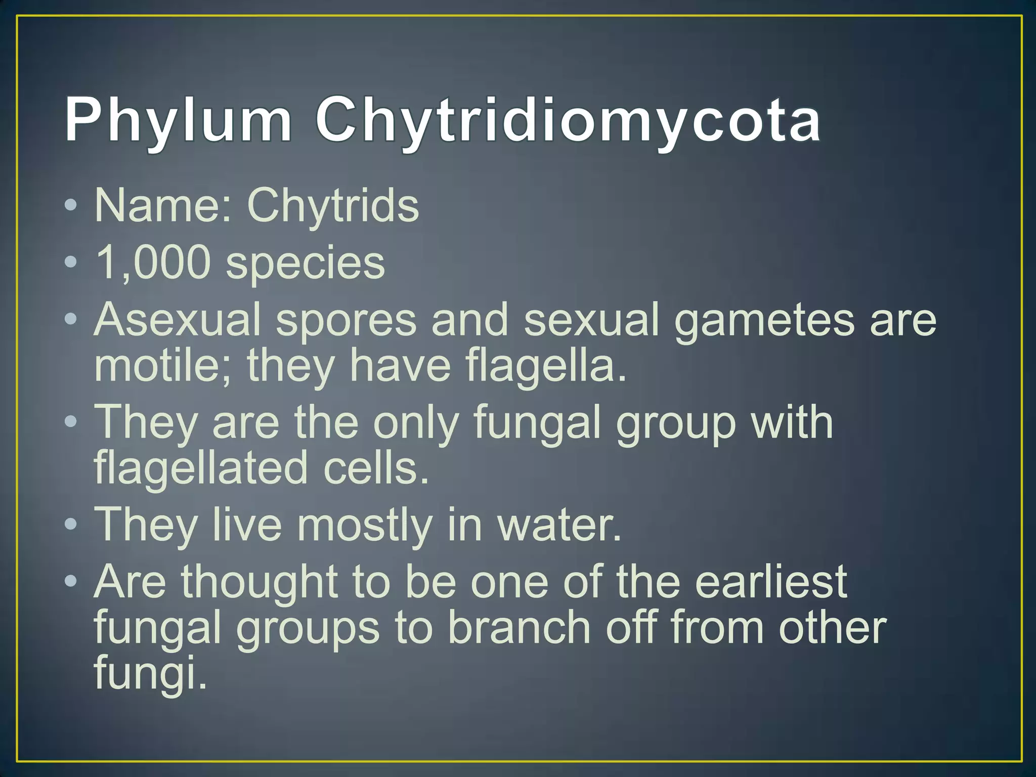Groups and phyla of fungi | PPTX