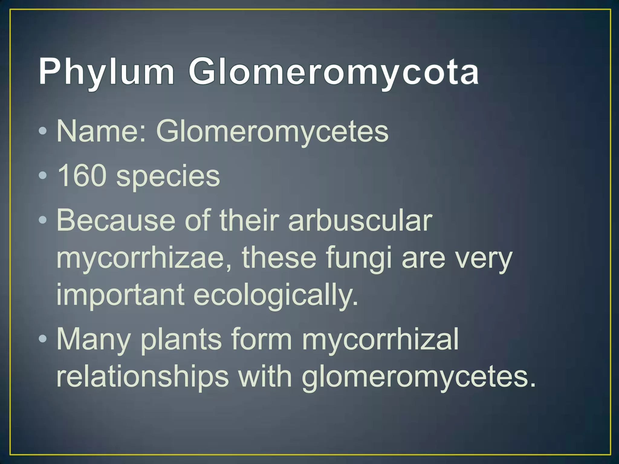 Groups and phyla of fungi | PPTX