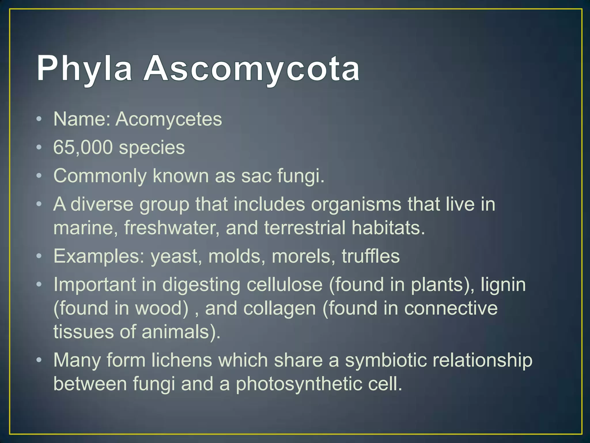 Groups and phyla of fungi | PPTX