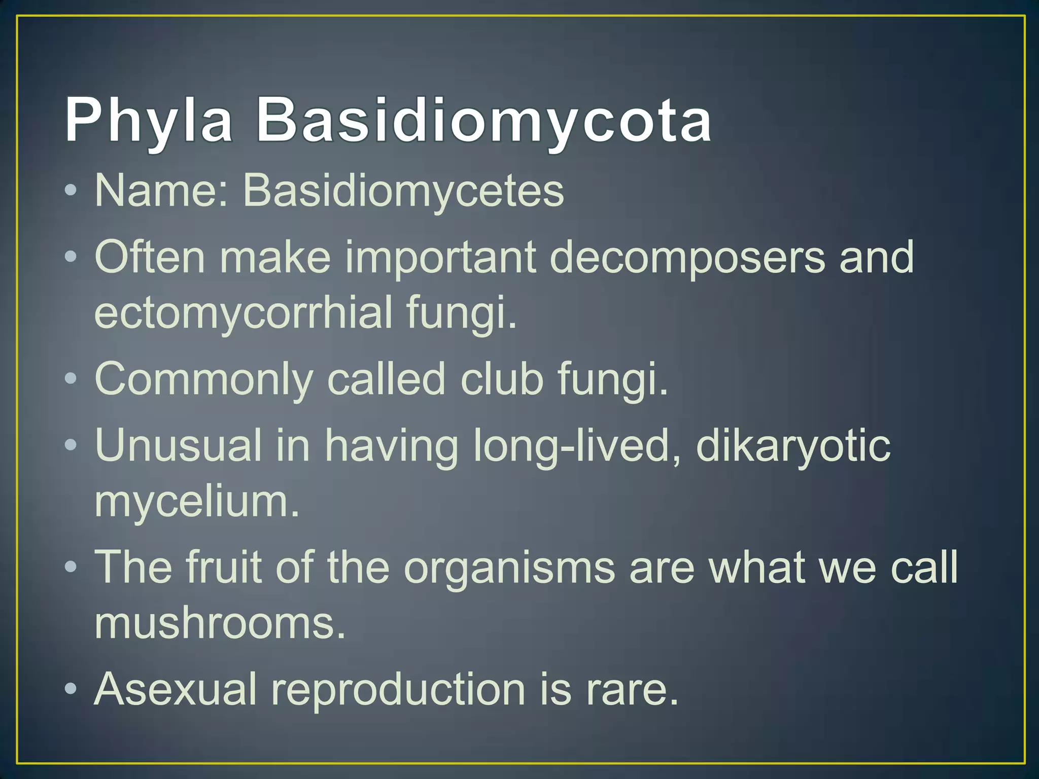 Groups and phyla of fungi | PPTX