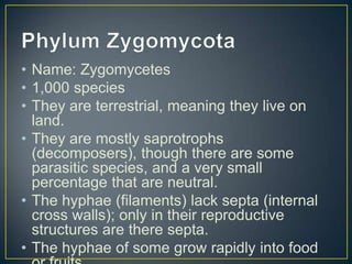 Groups and phyla of fungi | PPTX