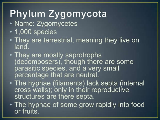 Groups and phyla of fungi | PPTX | Biological Sciences | Science