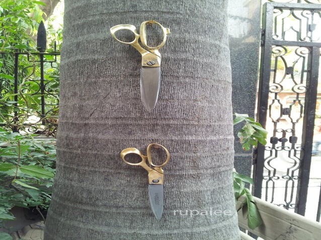 Scissors Collection | PPT