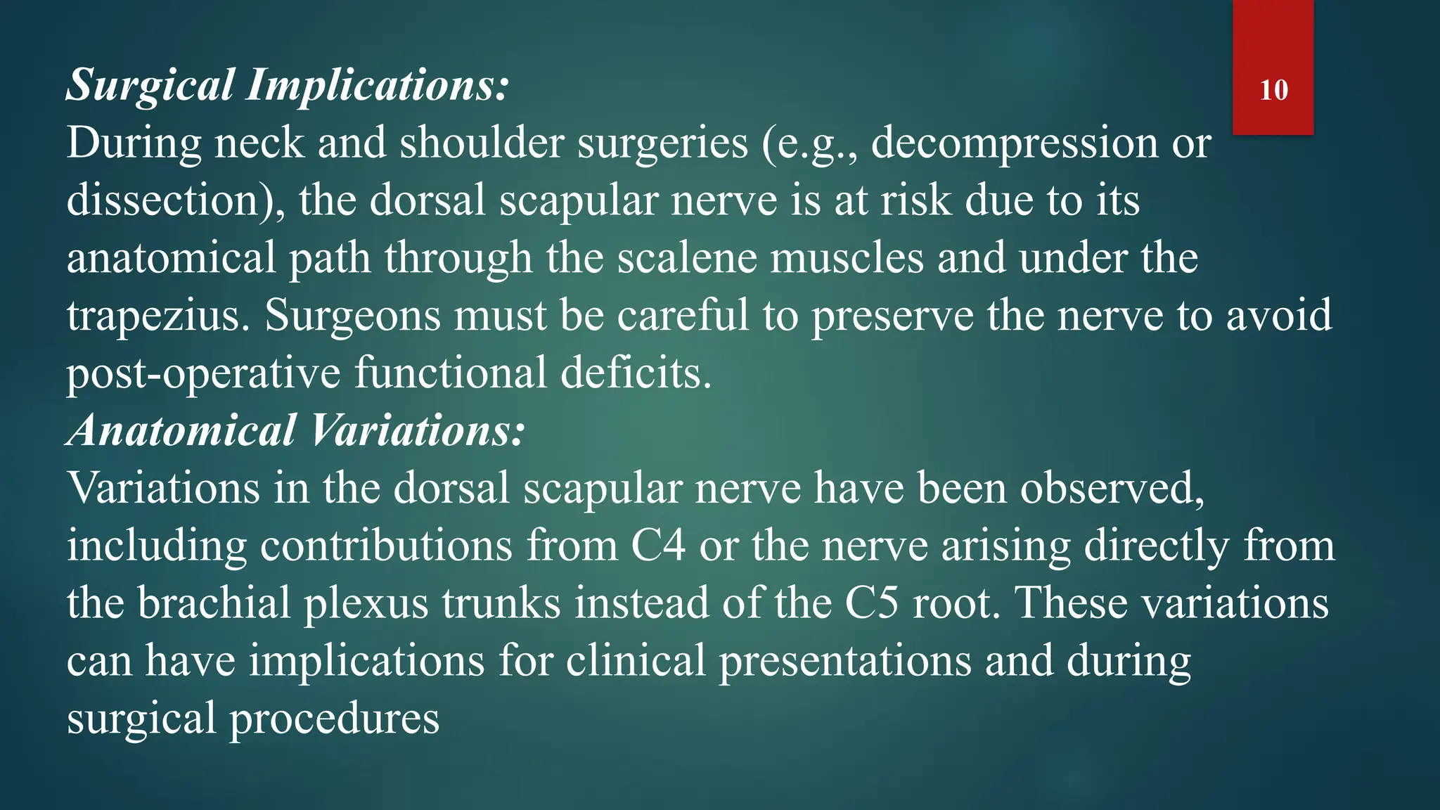 Presentation on Dorsal Scapular Nerve. power point docx.pptx