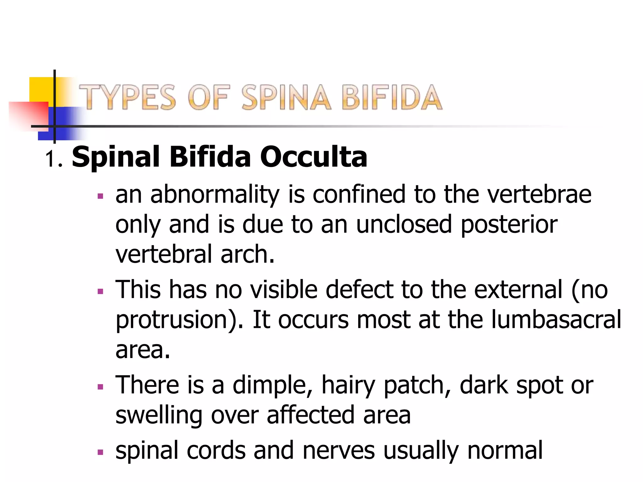 Spinal Bifida | PPT