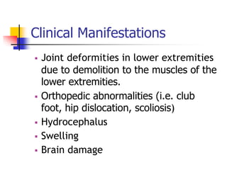 Spinal Bifida | PPT