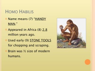 Examples Of Hominids